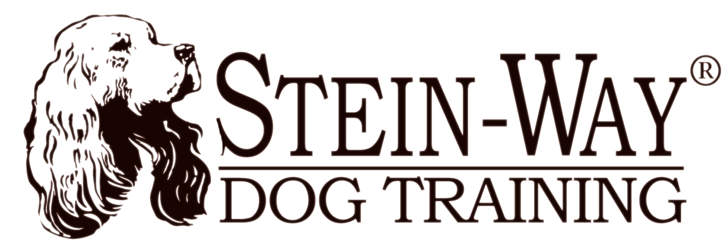 Home - STEIN-WAY Dog Training